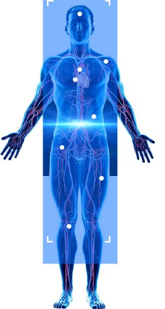 whole body mri